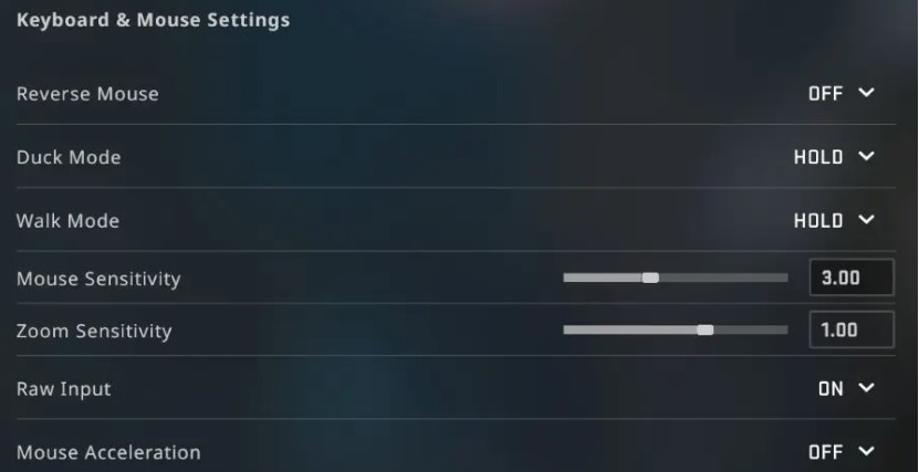 Setări CS GO: setări să tragi mai bine, setări CS GO pentru FPS, setări ...