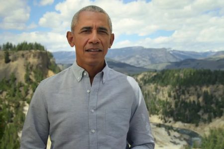 Top 20 documentare cu natură și animale. Listă cu documentare pe care ...