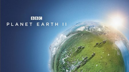 Top 20 documentare cu natură și animale. Listă cu documentare pe care ...